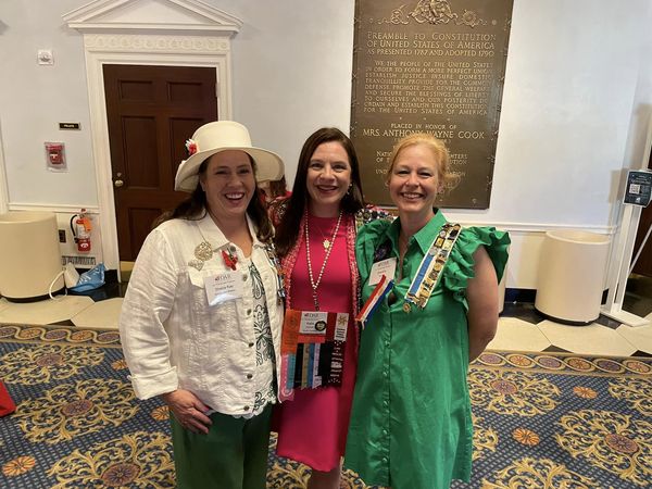 Portfolio – Snow Campaign Chapter NSDAR